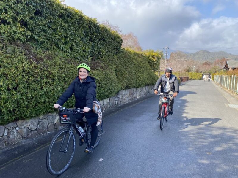 Kyoto: Afternoon Bamboo Forest and Monkey Park Bike Tour - Encountering the Monkeys