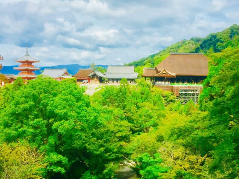 Kyoto: Full-Day Private Guided Tour of Temples and Shrines - Frequently Asked Questions