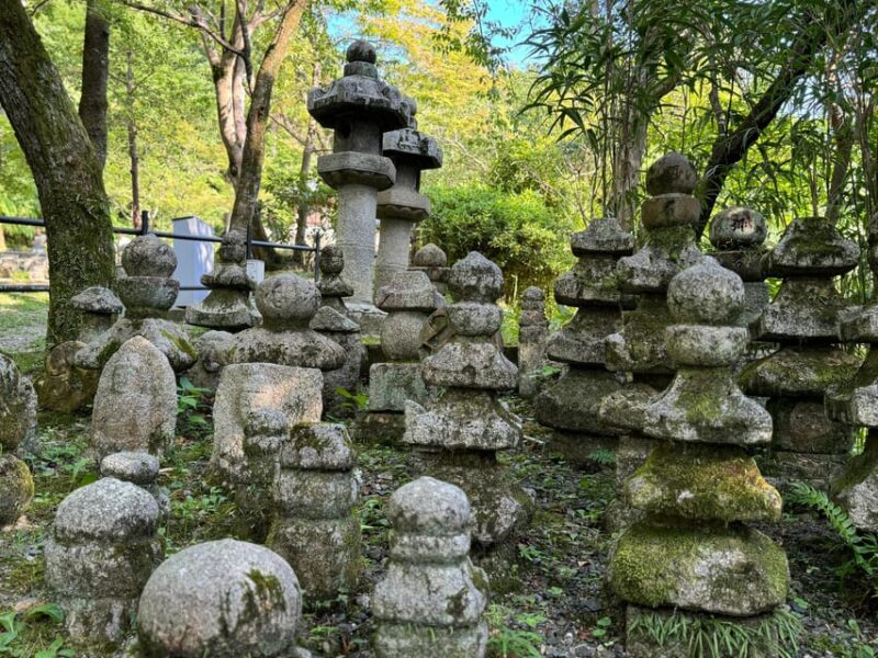 Kyoto: Guided Tour in UNESCO Site, Kiyomizu-dera - 90 Min. - Cultural Immersion