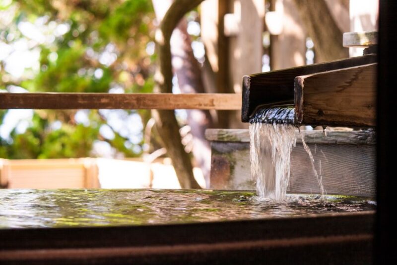 Kyoto: Immersive Arashiyama & Fushimi Inari by Private Car - Trekking Fushimi Inari-taisha