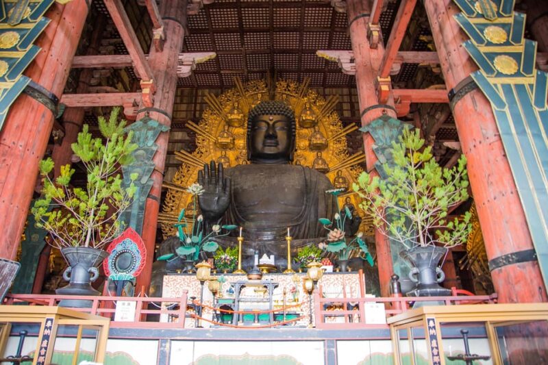Kyoto: Nara, Todaiji, Kasuga Taisha Shrine Private Full Day - Customer Feedback and Ratings