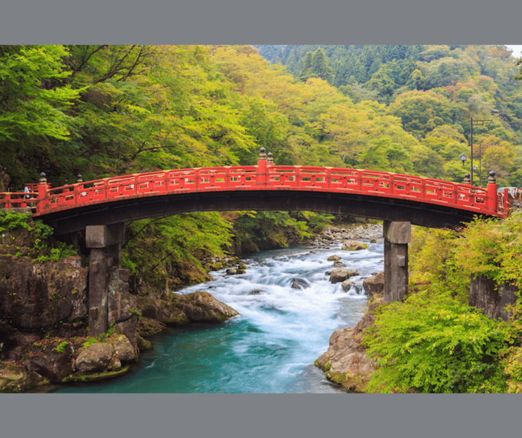 Kyoto/Osaka: Kyoto and Nara Customizable Guided Day Trip - Customer Reviews and Feedback