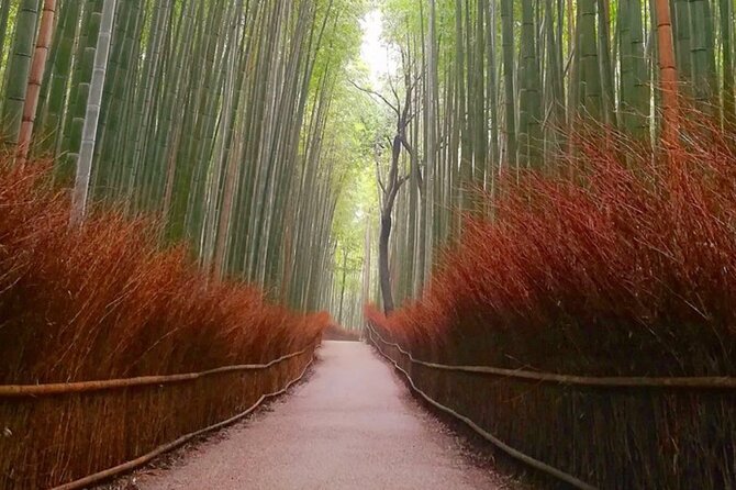Kyoto, Osaka, Nara Full Day Tour by Car English Speaking Driver - Discovering the Wonders of Nara