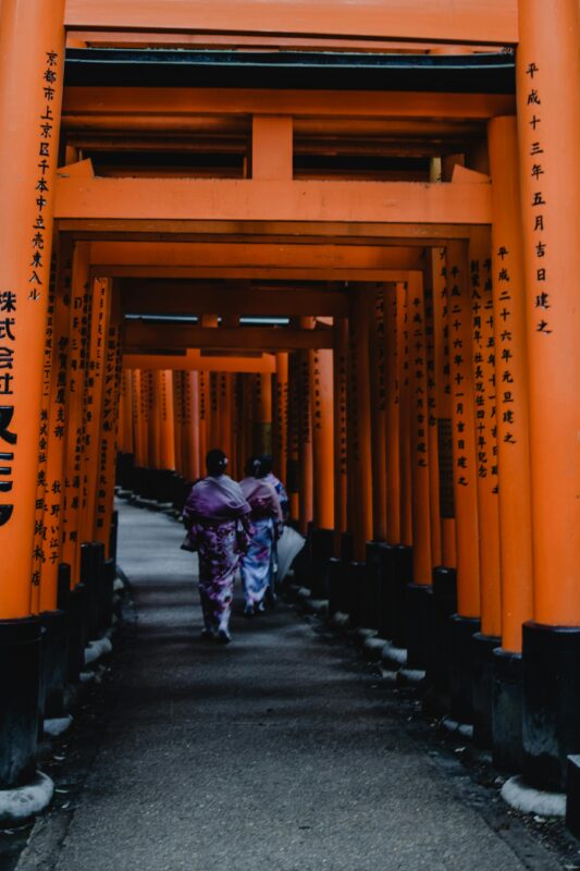 Kyoto Private Sightseeing Tour by Car With Pick up - Arashiyama Bamboo Forest Visit