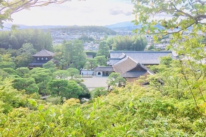 Kyoto Silver Pavilion Private 4-Hour Guided Tour - Common Questions