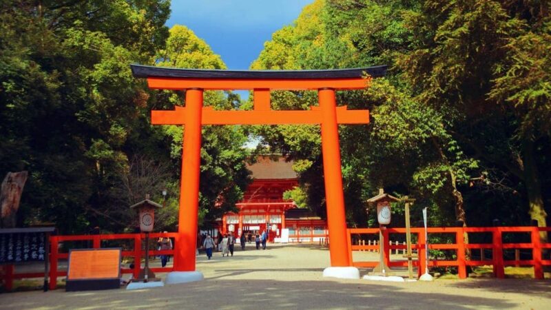 Kyotos Cherry Blossom Beauty: A 4-Hour Sakura Stroll - Frequently Asked Questions
