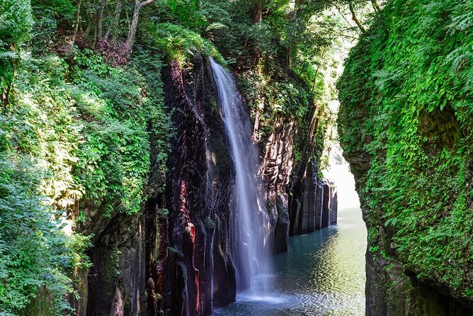 Kyushu Tour of Shrines Sakura Gorges and Landmarks From Fukuoka - Common Questions