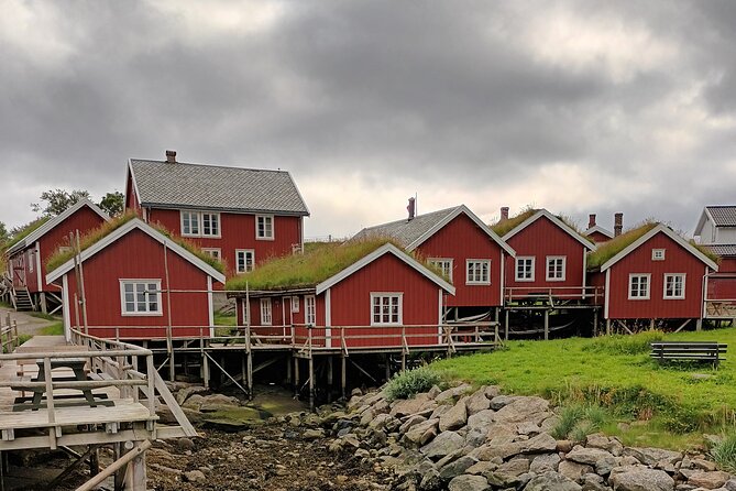 Lofoten VIP PRIVATE Tour From Leknes City / Port - Booking and Cancellation Policy