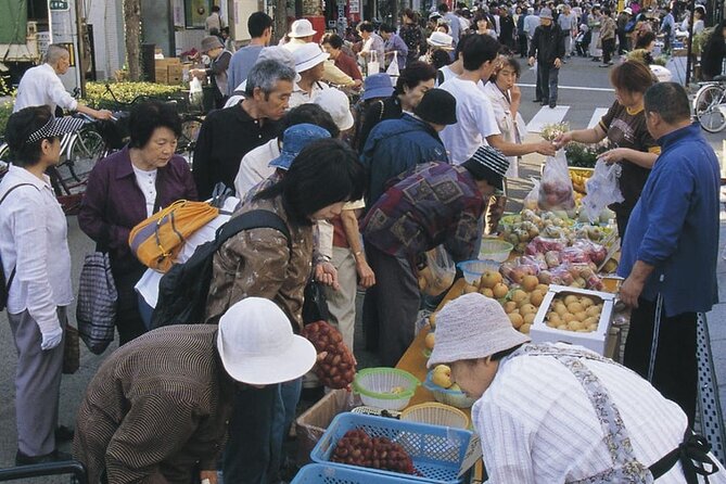 Morioka Full-Day Private Tour With Government-Licensed Guide - Customizing Your Experience