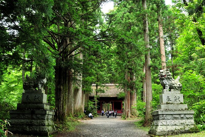 Nagano All Must-Sees 4hr Private Tour With Licensed Guide - What to Expect on the Tour