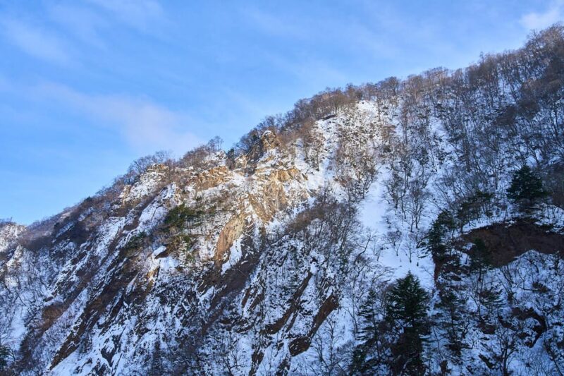 Nikko Private Day Trip: Explore Japans World Heritage - Frequently Asked Questions