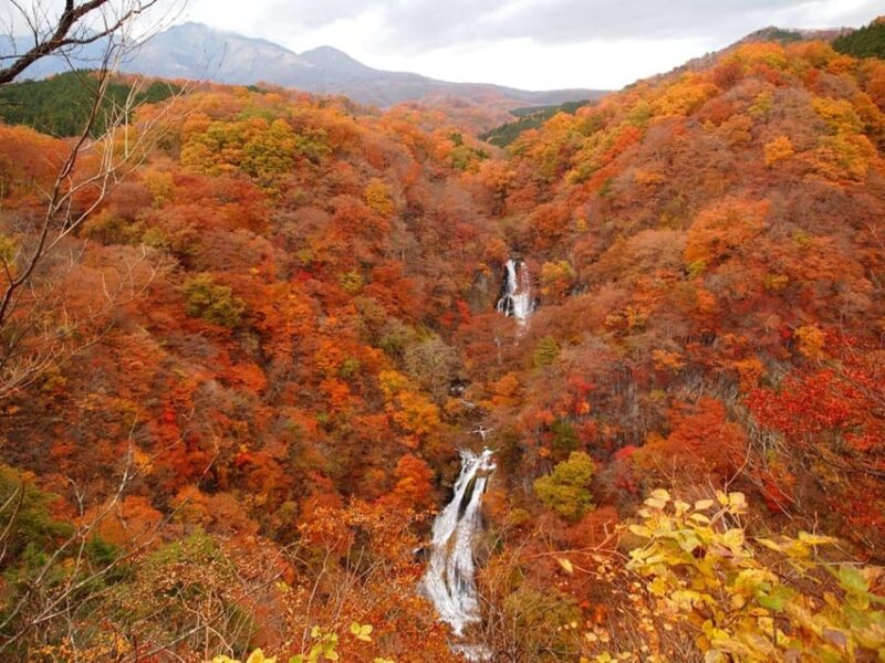Nikkos Majestic Landscapes: Private Guided Tour - Additional Considerations