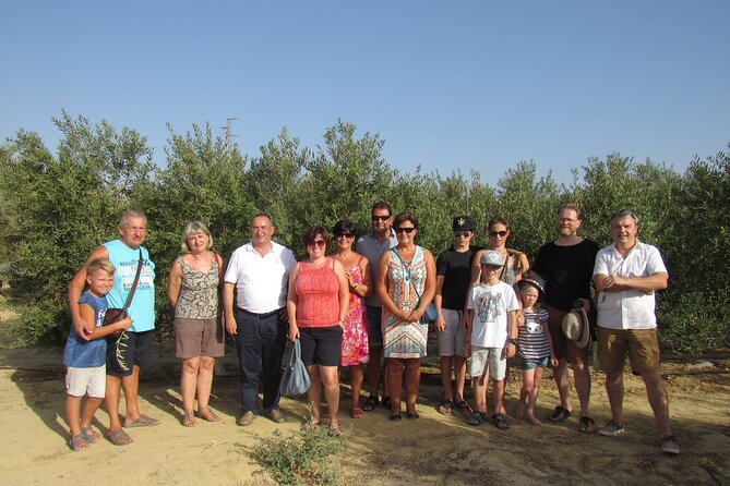Oil Tourism in Pulpí Discover the World of EVOO - The Sum Up