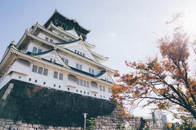 Osaka Local Experience: Historic Tenma To Dōtonbori Pop Culture - Personalize Your Osaka Adventure