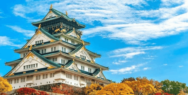Osaka: Private Hotspots & Hidden Gems Tour - Den Den Town Exploration