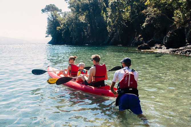 Portofino Kayak Tour Review: A Must-Do Experience - Enjoying a Scenic Lunch and Wine Tasting