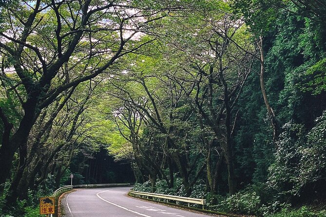 Private 1 Day Tour to Mt Fuji and Hakone: Onsen, Arts and Nature - Tailoring the Perfect Day-Trip