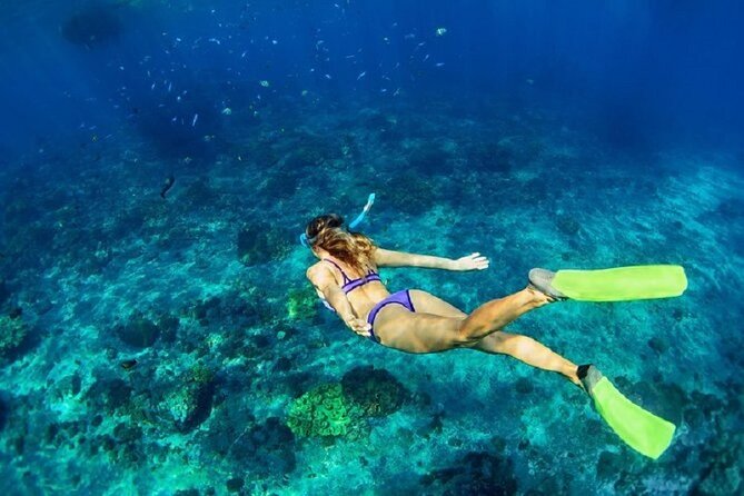 Private Sailing Tour in Rhodes - Personalized Service and Attention to Detail