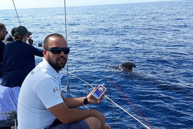 Private Yacht Tour With Whale and Dolphin Watching 33 Foot Boat - Snorkeling Opportunities