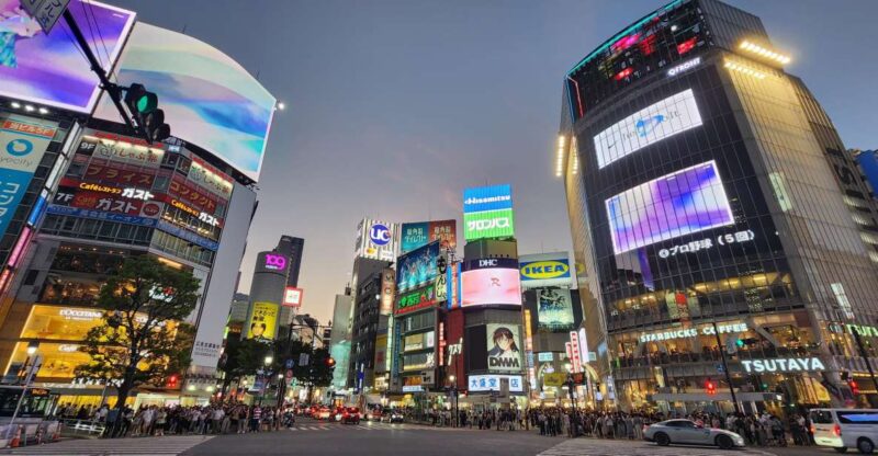 Real Tokyo in One Day With a Local - Experiencing Traditional and Modern Tokyo
