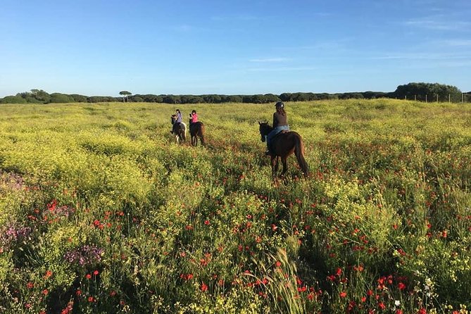 Rome: Private Horseback Riding Experience on the Beach - Post-Ride Relaxation