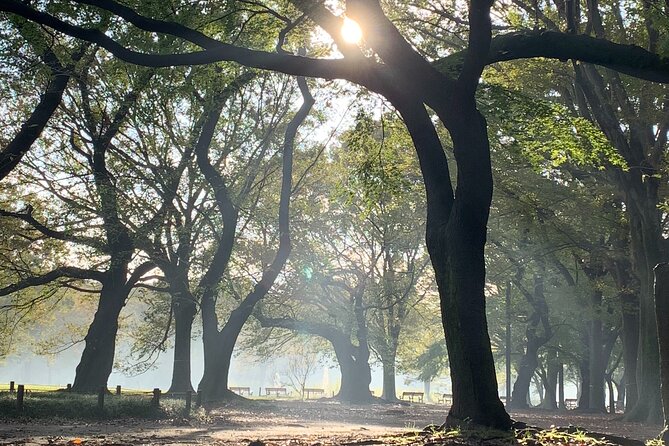 Sacred Morning Walk and Brunch Meiji Shrine - Savoring the Brunch Experience
