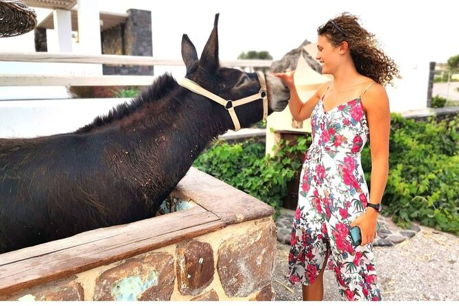 Santorini Private Tour 5hours Wine and Local Product Tasting - Frequently Asked Questions