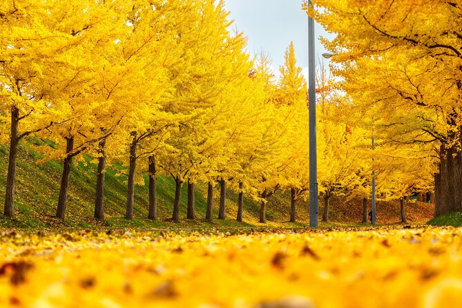 Sapporo Privete Tour: Royce Town, Autumn Foliage, Sunset Viewing - Common Questions