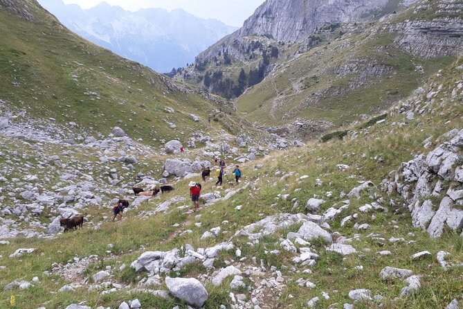 Self - Guided Peaks of the Balkans Tour in 7 Days - Luggage Transportation
