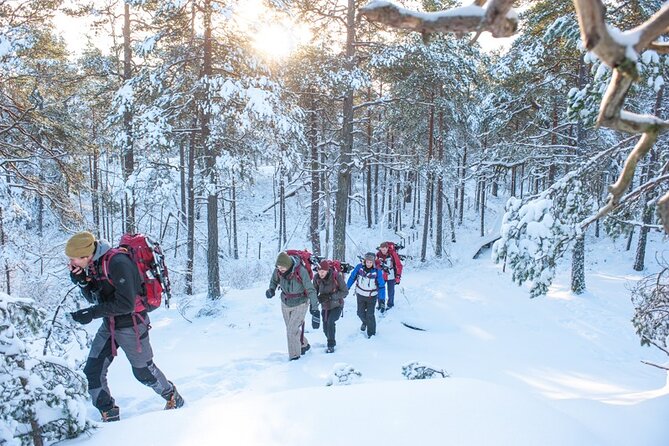 Snowshoe Winter Hike From Stockholm - Reviewing the Experience: What Participants Say