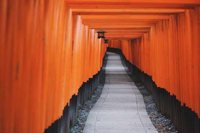 Tailored Full Day Private Experience of Kyoto for 1 Day Visitors - About the Tour Company