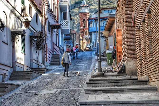 Tbilisi Private Arrival Airport Transfer - The Sum Up