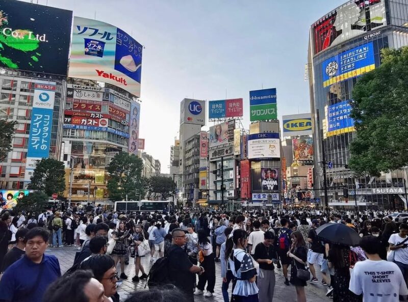 Tokyo City Day Tour With Englisg Speaking Driver. - Convenient Booking and Cancellation Policy