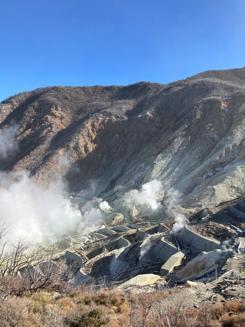 Tokyo: Mt. Fuji and Hakone Tour With Cable Car and Cruise - Cruise Across Lake Ashi