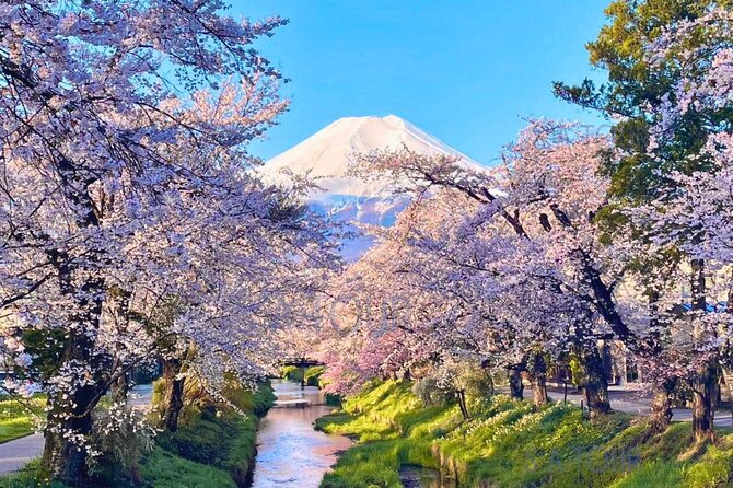 Tokyo: Mt.Fuji Area, Oshino Hakkai & Kawaguchi Lake Day Trip - Common Questions