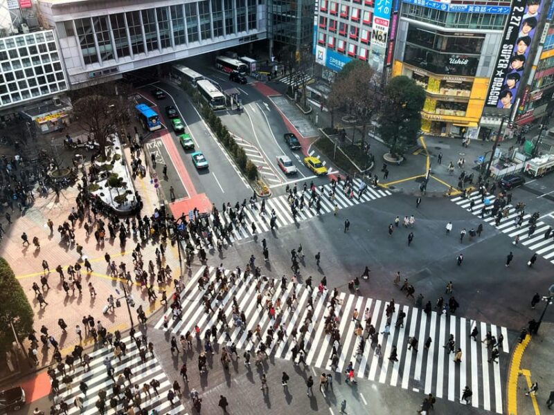 Tokyo: Personalized Private 6-Hour Tour - Booking and Cancellation Policy