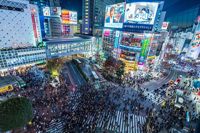 Tokyo Private SightSeeing Day Tour - Recommendation and Summary