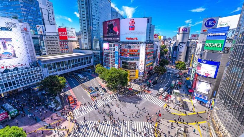 Tokyo Private Sightseeing Tour by English Speaking Chauffeur - Customizable Itinerary