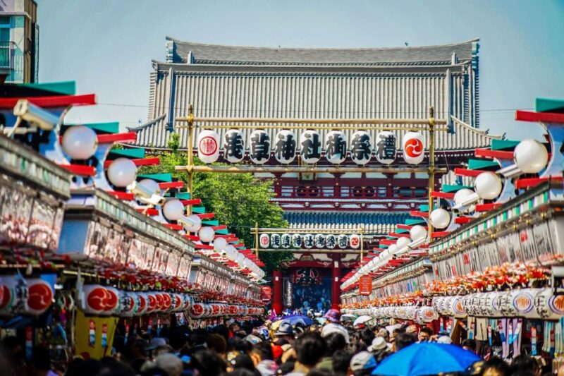 Tokyo Private Sightseeing Tour W/English Speaking Driver - Cultural Insights and Experiences