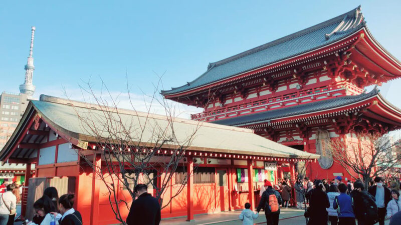 Tokyo Private Tour/English Driver GREEN NUMBER PLATES - Safety and Comfort During the Tour