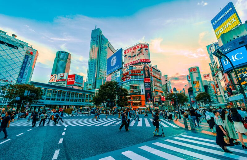Tokyo: With Private Car Personalized Private 6-Hour Tour - Booking Recommendations