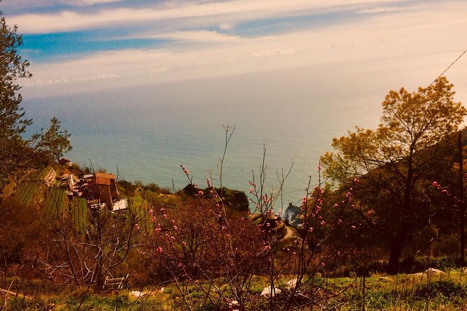 Trail of the Gods With Local Guide Saveria Fiore Ladybug - Booking Information and Pricing