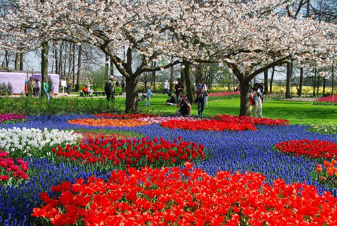 Windmills, Marken, Volendam Plus Guided Keukenhof Visit - Managing Expectations