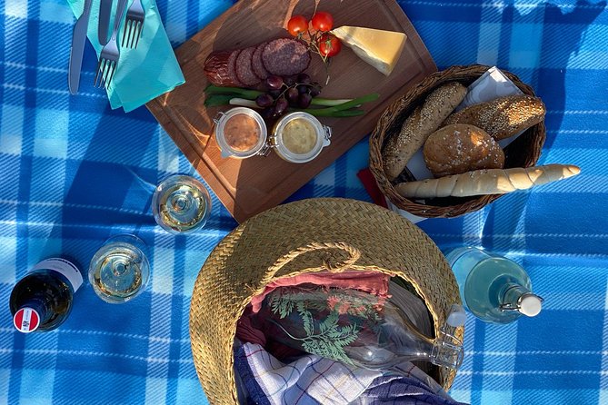 Wine Picknick Overlocking Vienna - Experiencing the Friendly and Informative Tour Guides