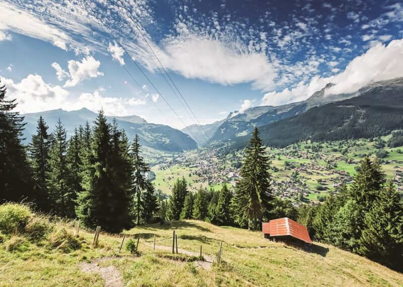 Zurich: Day Trip to Grindelwald & Interlaken by Bus & Train - Transitioning to Bus Transfer in 2025