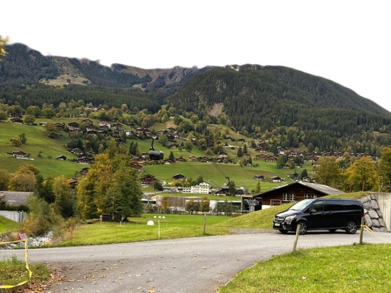 Zürich: Private Car Tour to Swiss Capital, Castles & Lakes - Transportation and Logistics