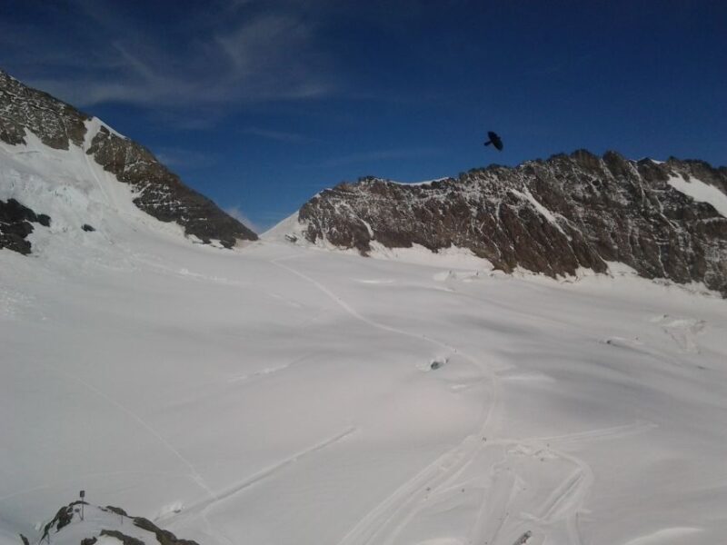 Alpine Majesty: Basel to Jungfraujoch Exclusive Private Tour - Since You Asked