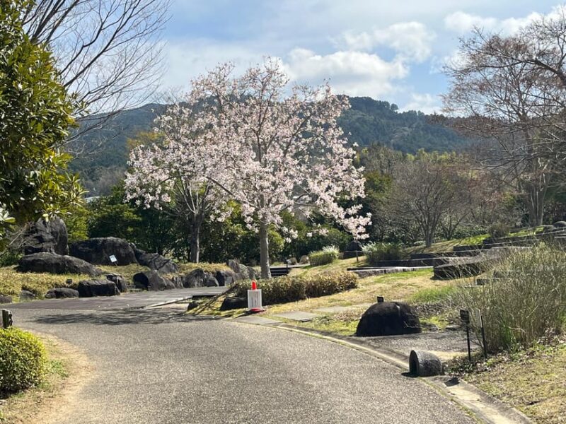 Asuka: Private Guided Tour of an Ancient Capital of Japan - Frequently Asked Questions