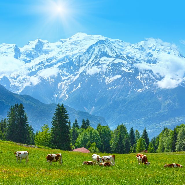 From Geneva: Chamonix Mont-Blanc Private Day Trip - Since You Asked