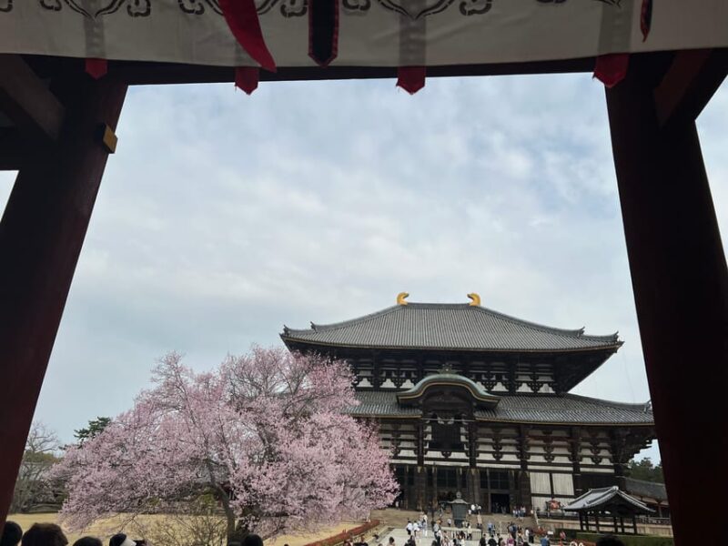 From Osaka/Kyoto:Private Kyoto-Nara Day Tour - Frequently Asked Questions
